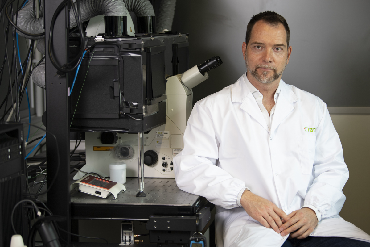 NANOMED Spain – Plataforma Española de Nanomedicina